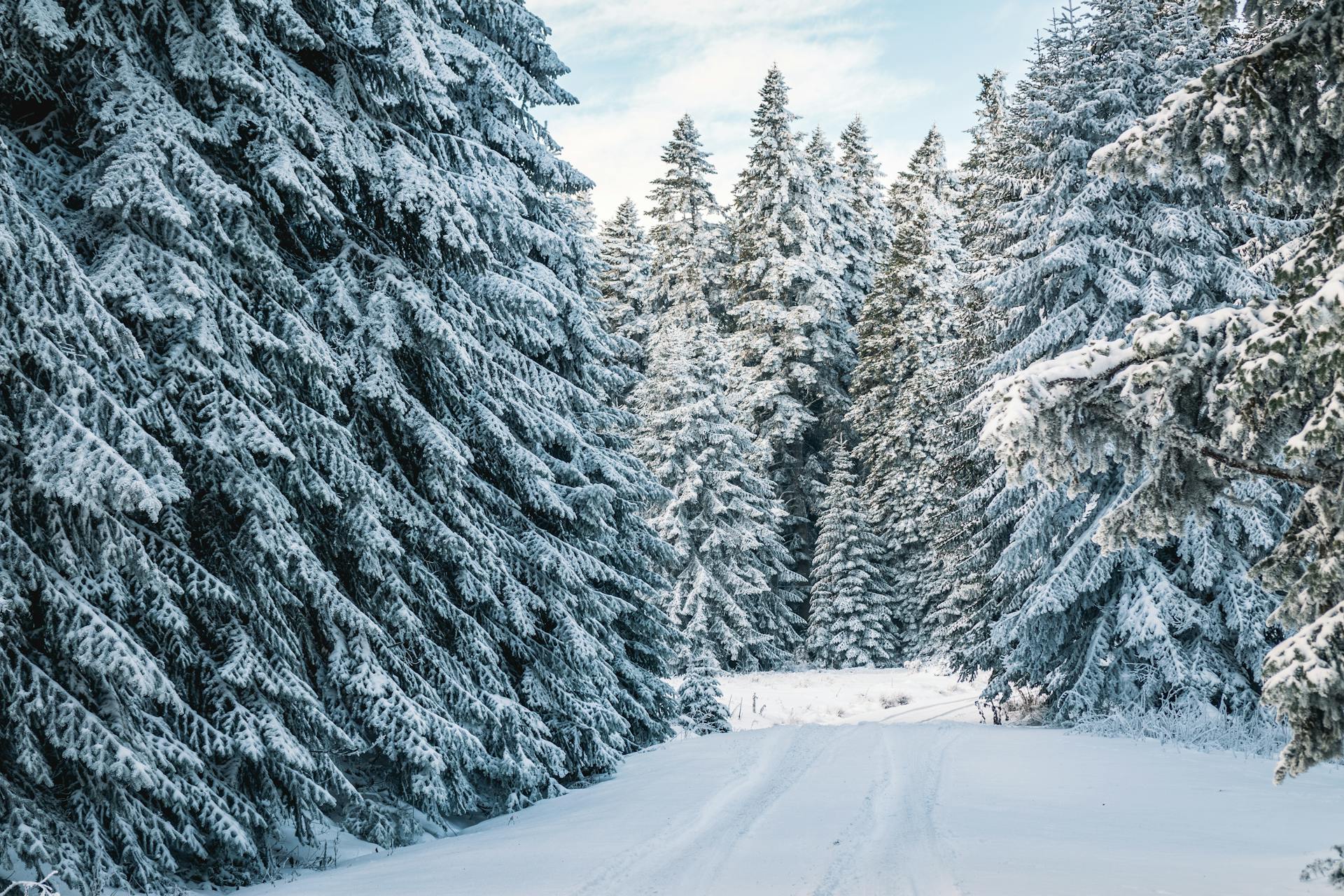 Seasonal Changes and Incontinence: How Weather Affects Bladder Control ...